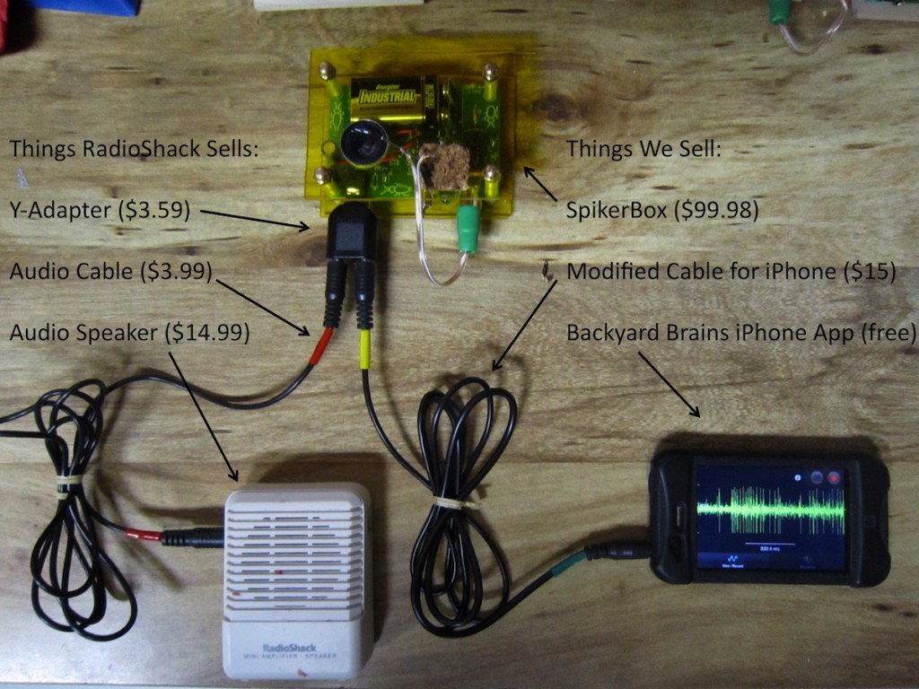 3) a 1/8 audio cablefor $3.99 to go from the SpikerBox (or Y-splitter ...