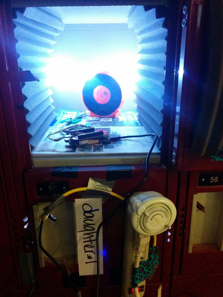 Let there be (12 hour cycle) light! Cockroach Rave