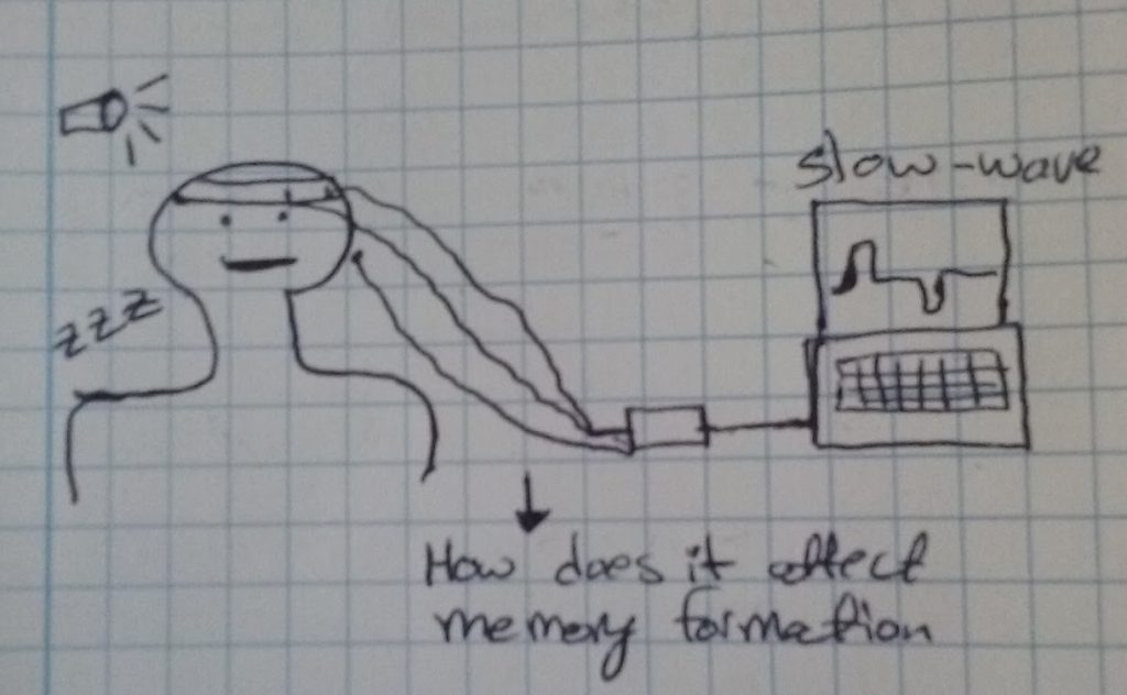 From the Lab Journal: Artistic Representation of the Sleep Kit