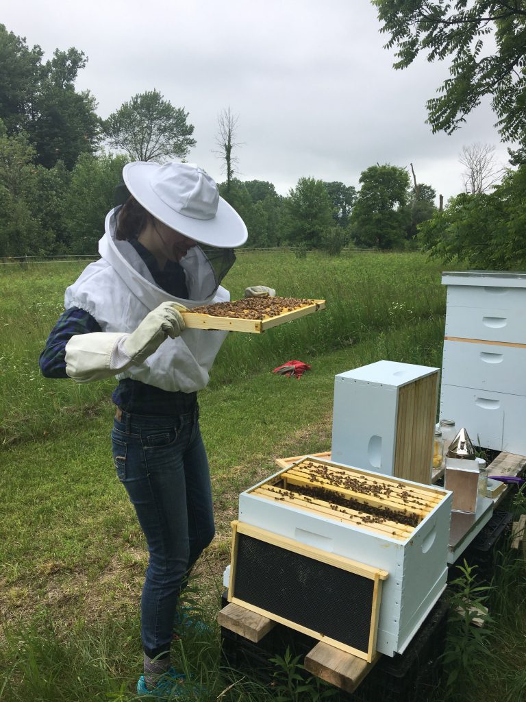 Learning the basics of bee-ing a beekeeper!