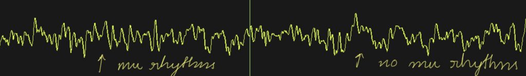 And now, time for some data blitz! Hello, mu rhythms!
