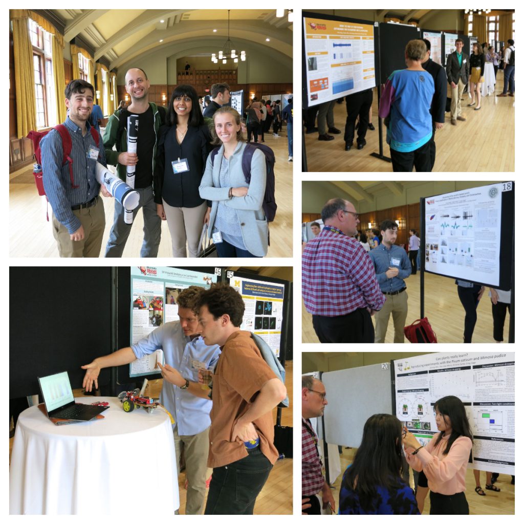 August 3, 2018 by Caitlin Clayton