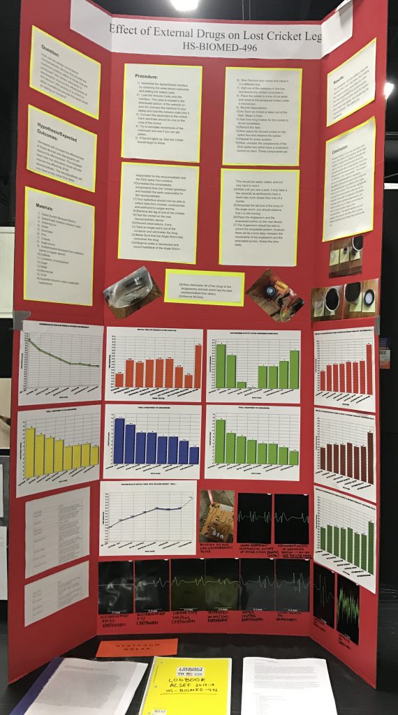 Discover more similar science project ideas for science fair on our ...