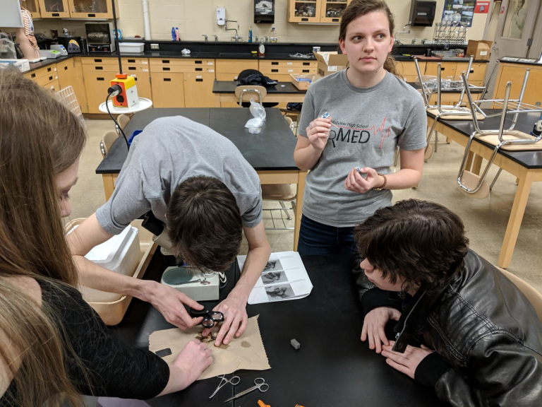 Passionate about art, music, and biology.